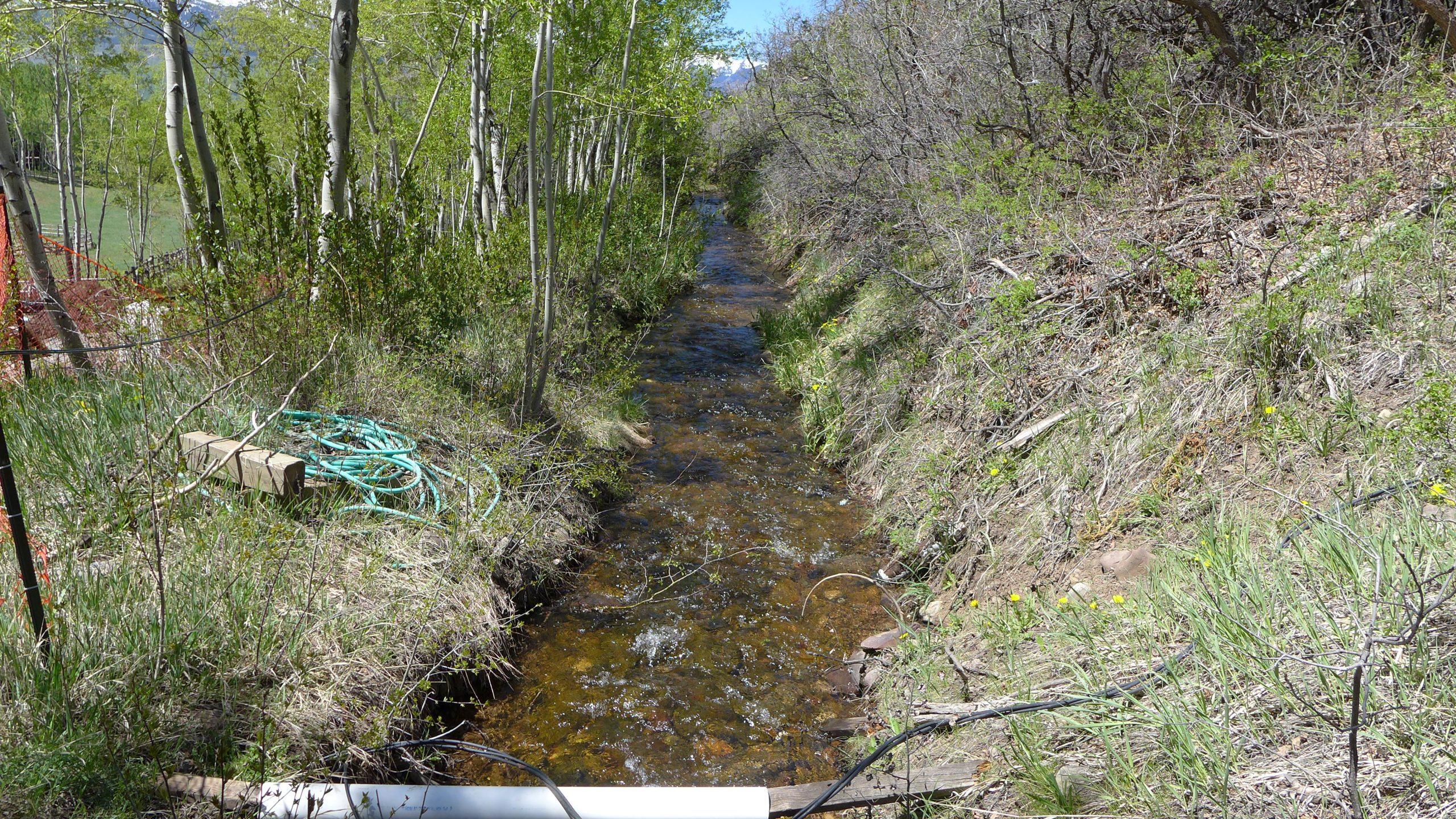 The Roundup Newsletter | Pipe the Ditch, Save the Water