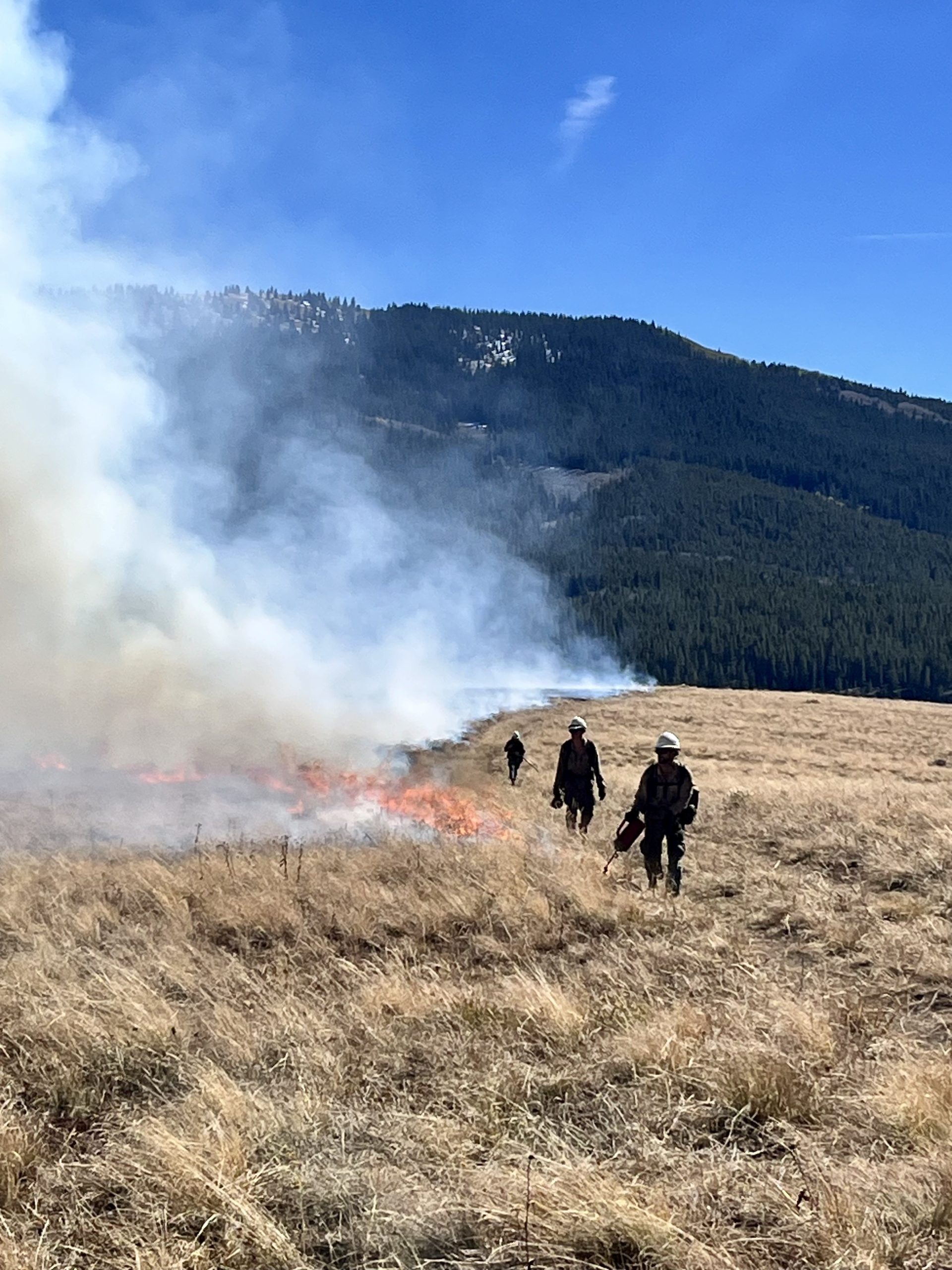 Fighting fire with collaboration - Aspen Journalism